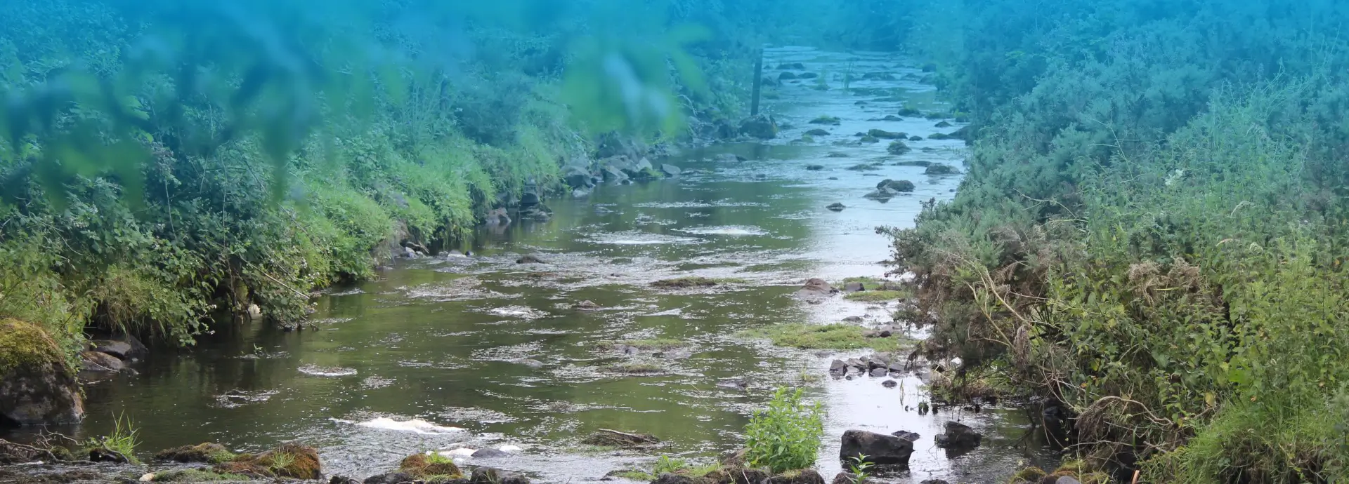 Managing Water Margins - Farming and Water Scotland