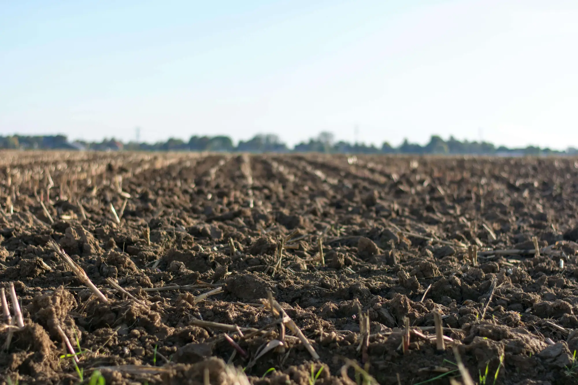 Making best use of nutrients on the farm – a Farm Slurry and Manure ...