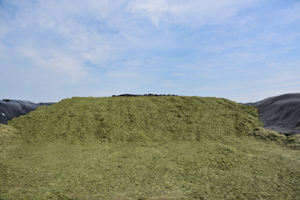 Are you planning on upgrading or constructing a silage pit? If so, plan ...