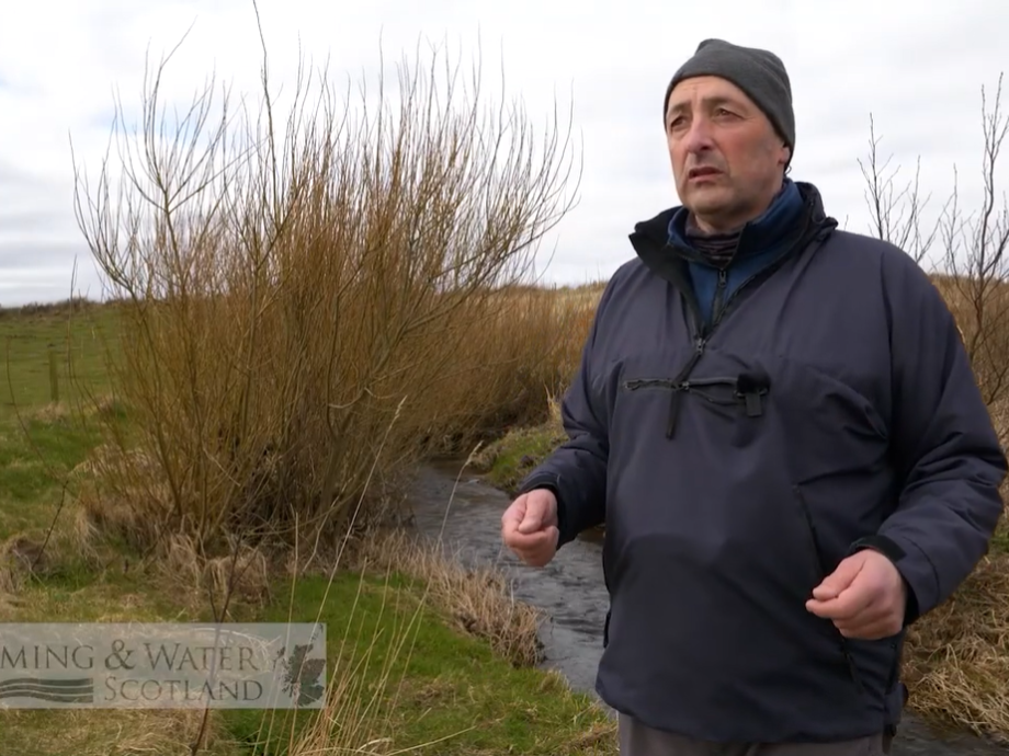 Sustainable Bank Protection: brash bundles & root wads - Farming and ...